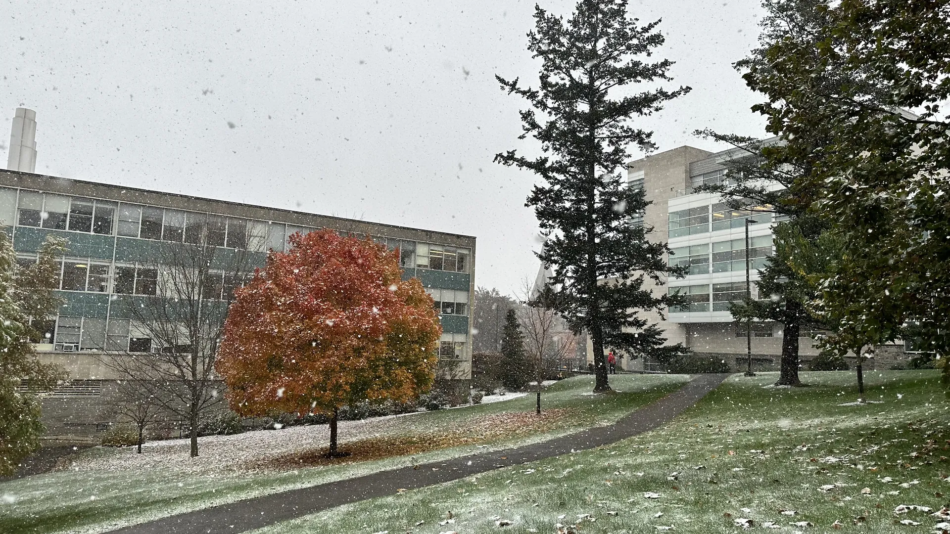 Cornell Spring – Kefan:)